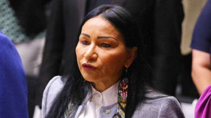 Descubra quem é a deputada federal cassada por usar verba pública para ...